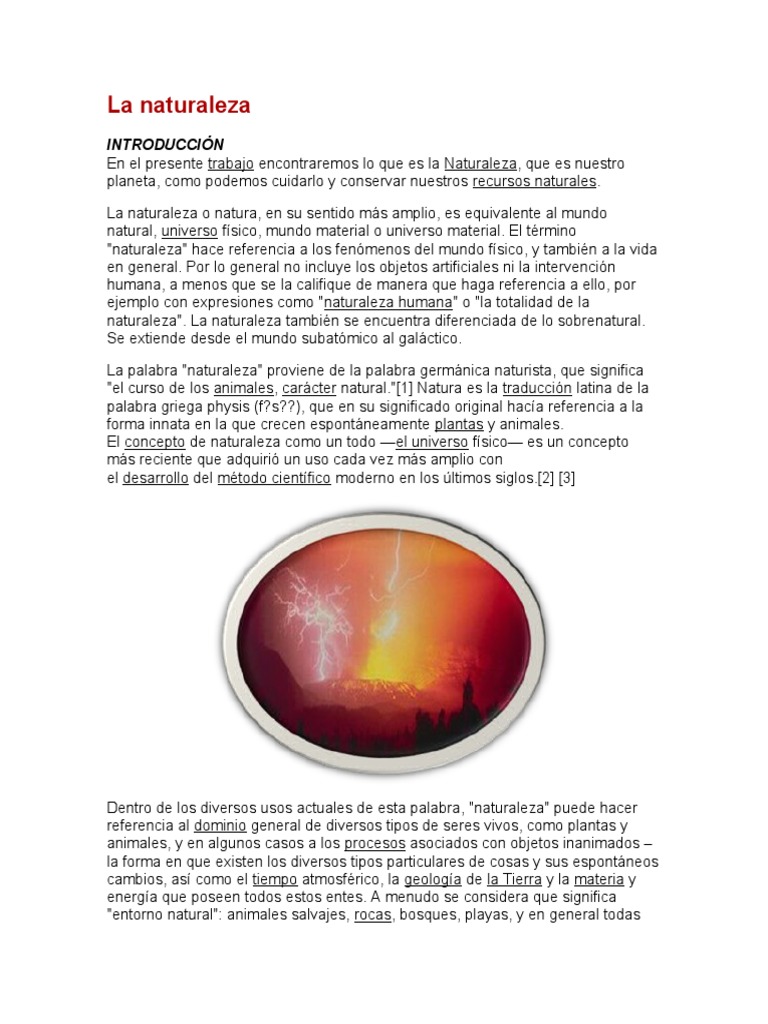 La Naturaleza | PDF | Naturaleza | Importar