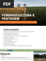 Morfologia de Gramíneas e Leguminosas | PDF | Raiz | Plantas