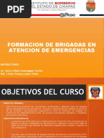 BRIGADA MULTIFUNCIONAL | PDF | Defensa Civil