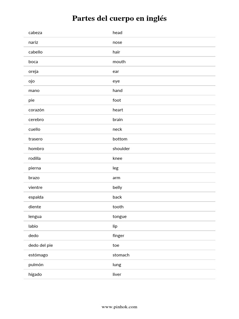 Partes Del Cuerpo En Ingles Pdf Pdf