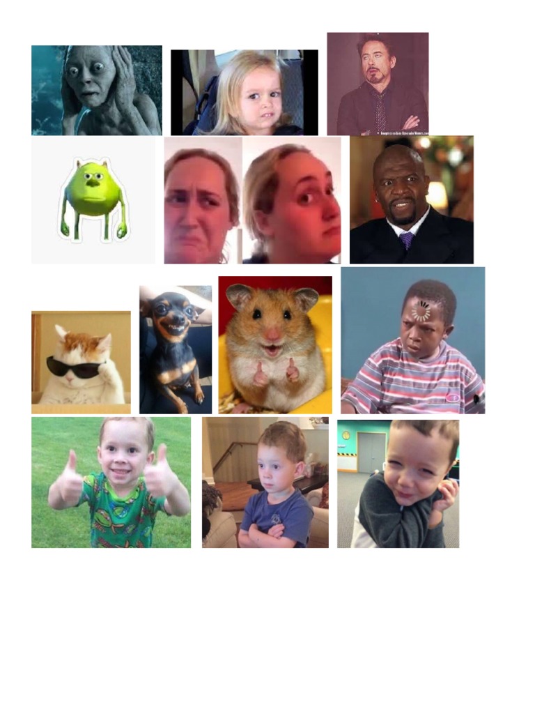 Memes para Corregir | PDF