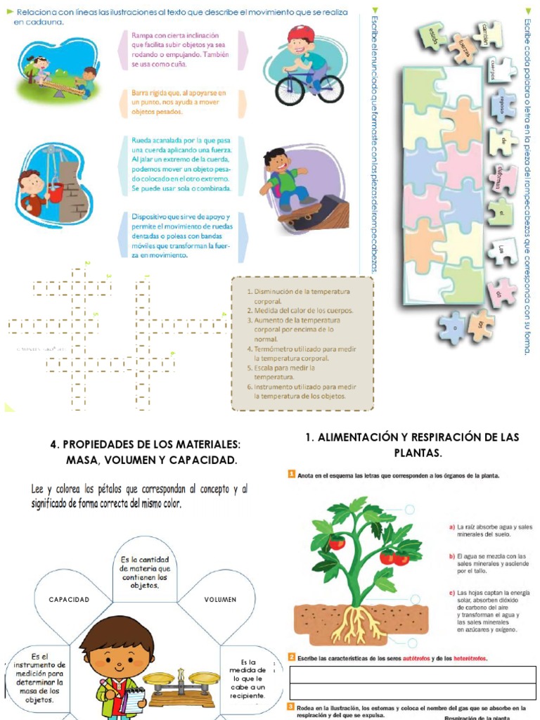 Repaso Ciencias Naturales Tercer Grado de Primaria | PDF