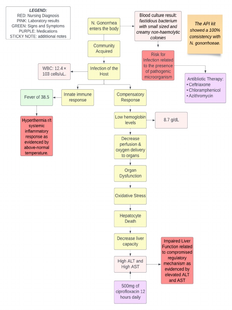Sepsis Pathophysiology | PDF