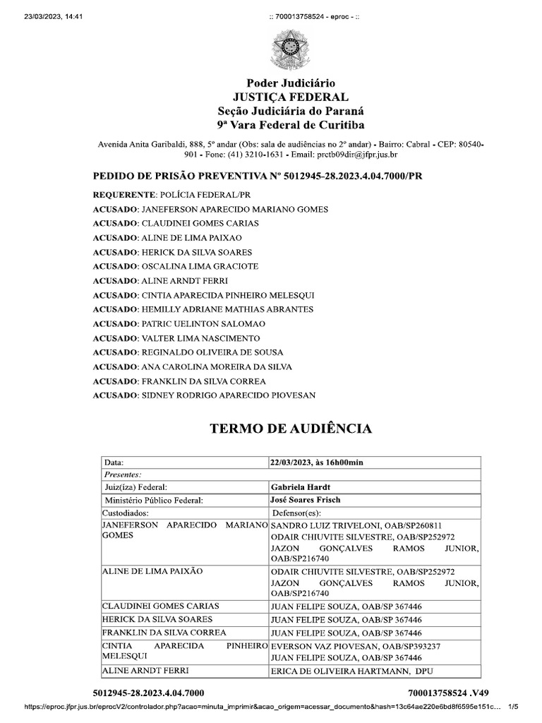 Termo de Audiência de Custódia | PDF