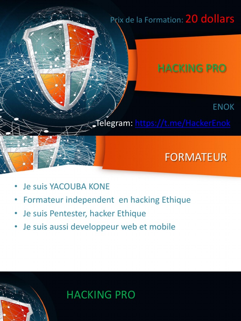 Hacking Pro | PDF