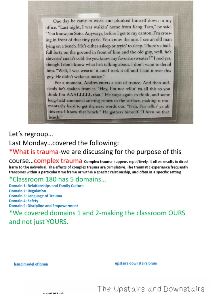 Classroom 180 Domain 3 | PDF | Psychological Trauma | Nonverbal Communication