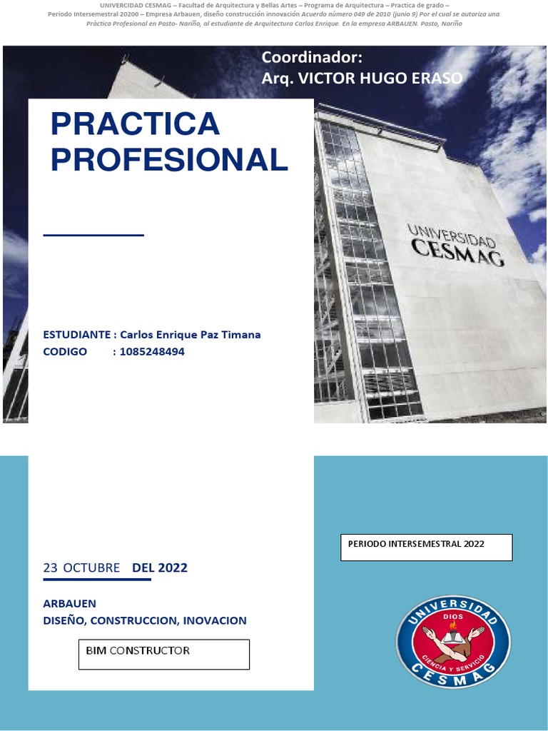 Informe Practica Profesional | PDF Informe Practica Profesional | PDF