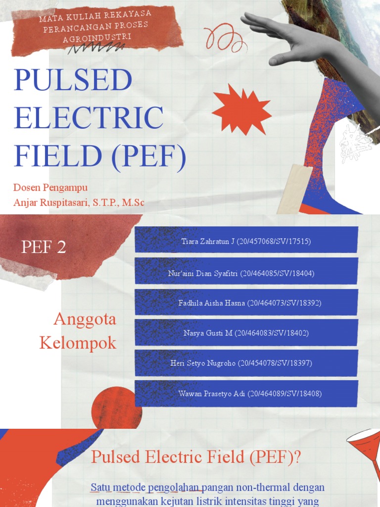 Presentasi Pef 2 | PDF