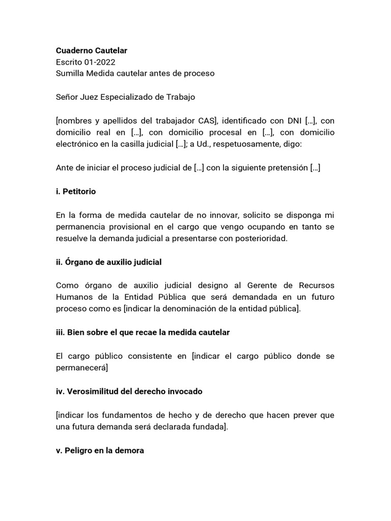 Medida Cautelar Laboral Provisional | PDF
