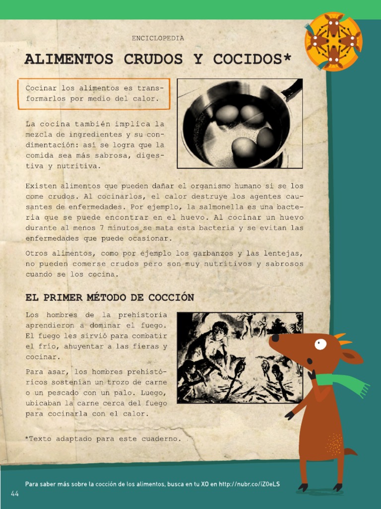 Alimentos Crudos y Cocidos | PDF