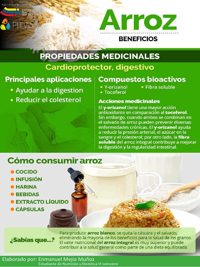 Infografias Sobre El Arroz | PDF