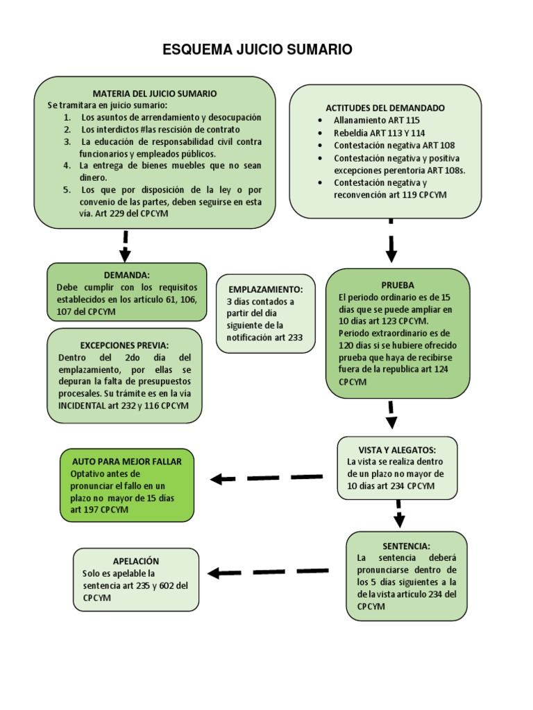 Esquema de Juicio Sumario | PDF | Justicia | Crimen y violencia