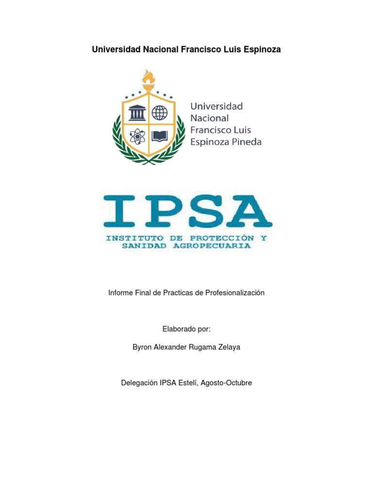 Byron Informe IPSA | PDF | Aprendizaje | Plan de estudios