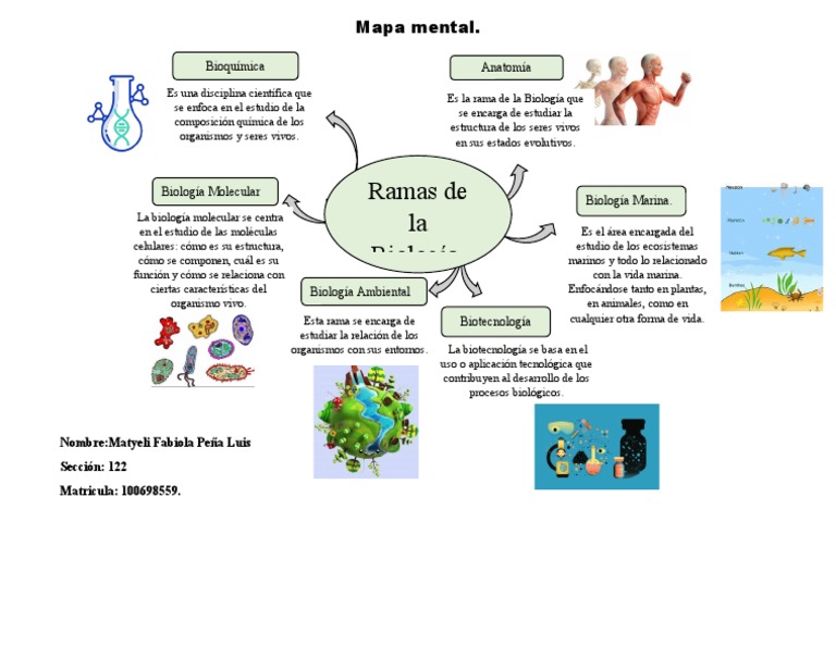 Mapa Mental Ramas de La Biologia | PDF