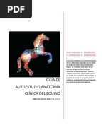 Anatomía y Fisiología de La Pata Del Caballo | PDF | Mano | Sistema ...
