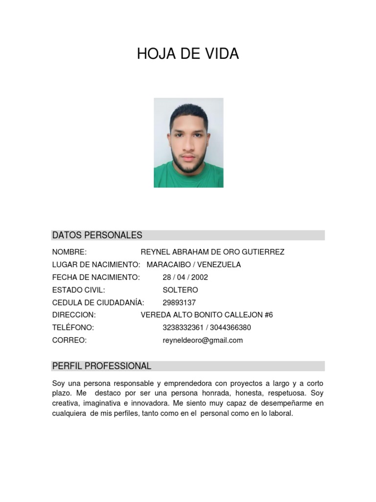 Formato HDV PDF | PDF