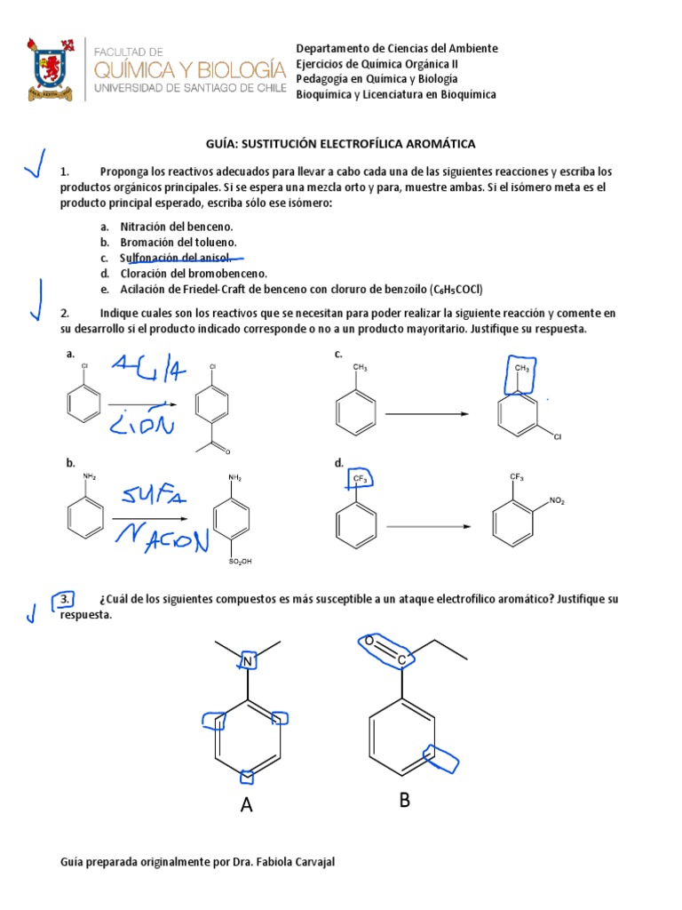 Guía de Sustitución Electrofílica Aromática | PDF | Benceno | Química