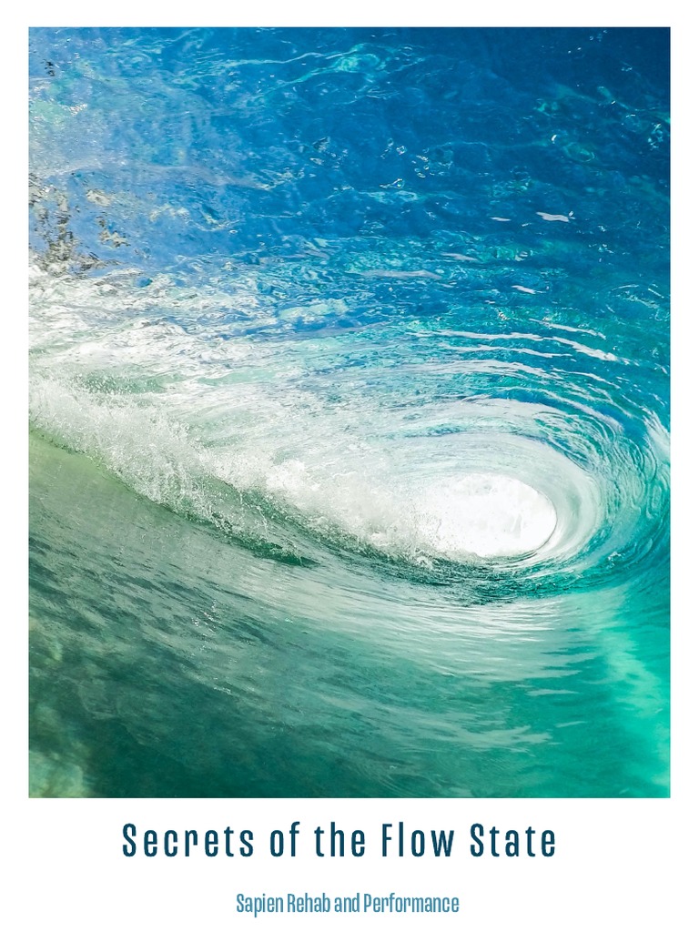 Ebook Flowstate PDF | PDF | Flow (Psychology) | Cognitive Science