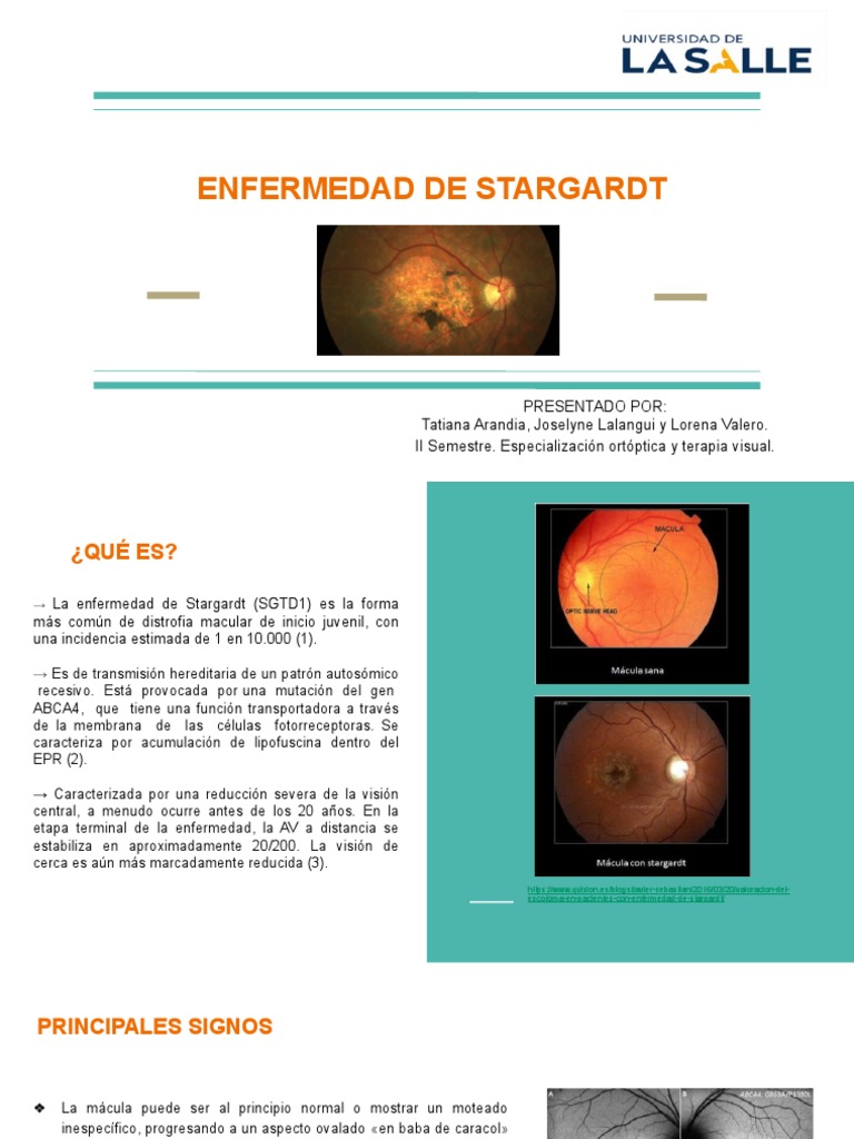 Enfermedad de Stargardt | PDF | Oftalmología | Sistema visual