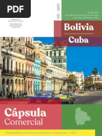 Biografía Raúl Rizo | PDF | Kárate | Artes marciales del este asiático