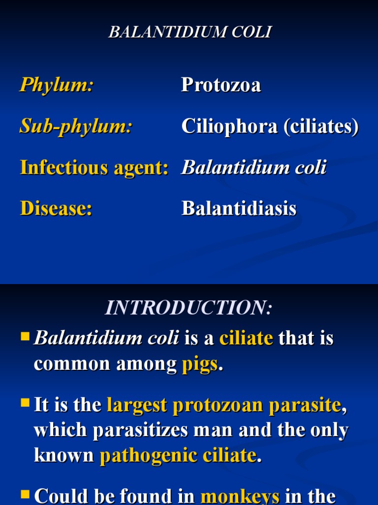 Balantidium Coli: Overview and Treatment | PDF | Medical Specialties ...