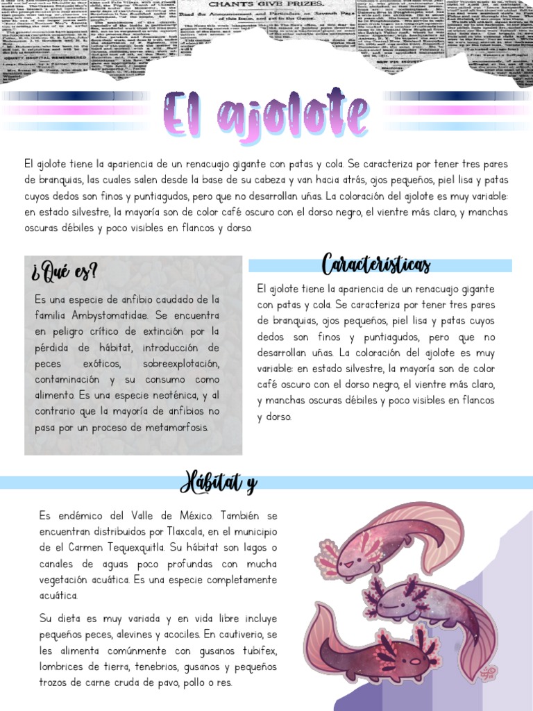 Características del ajolote mexicano | PDF | Ciencia y matemáticas
