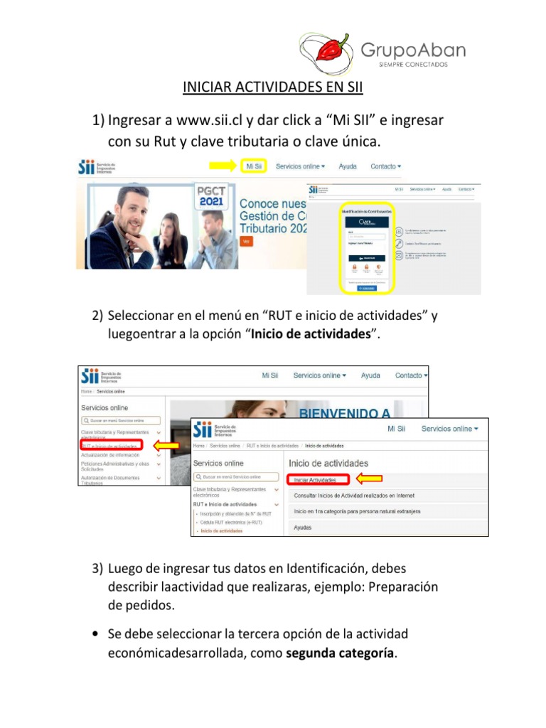 Instrucciones para Emisión de Boletas Aban | PDF