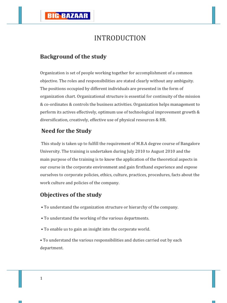 Big Bazaar Project Report | PDF | Retail | Marketing