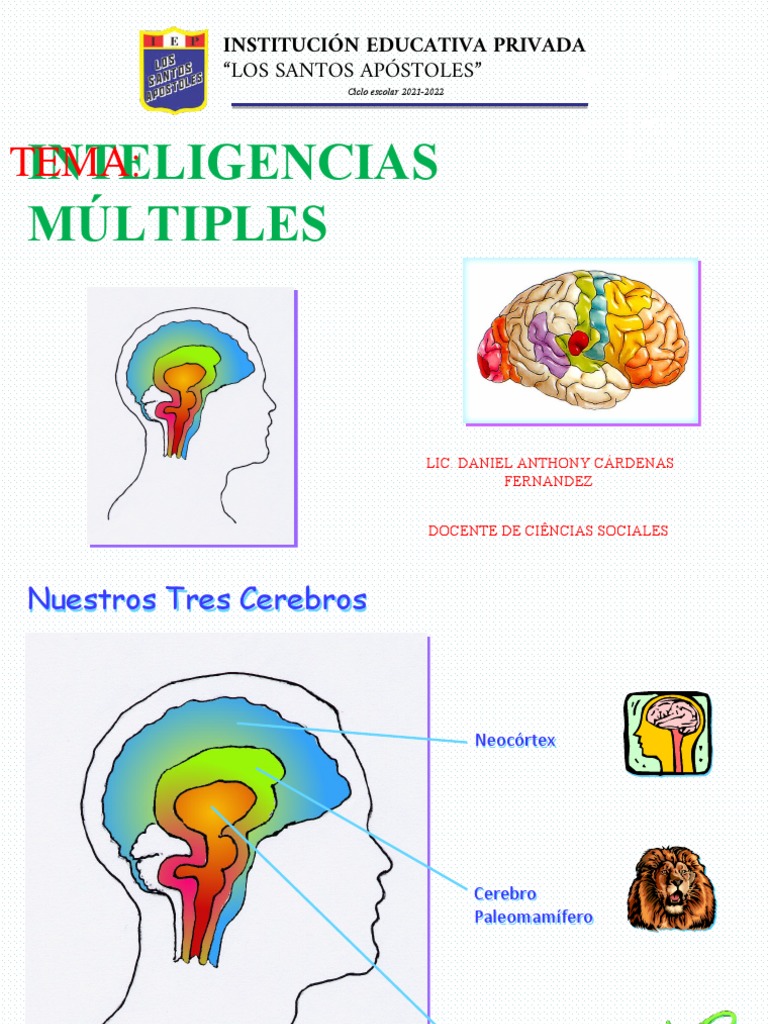 Cerebro Pdf Cerebro Las Emociones