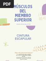 A34 Compartimentos Musculares Del Brazo y Antebrazo DR Daniel Lopez ...