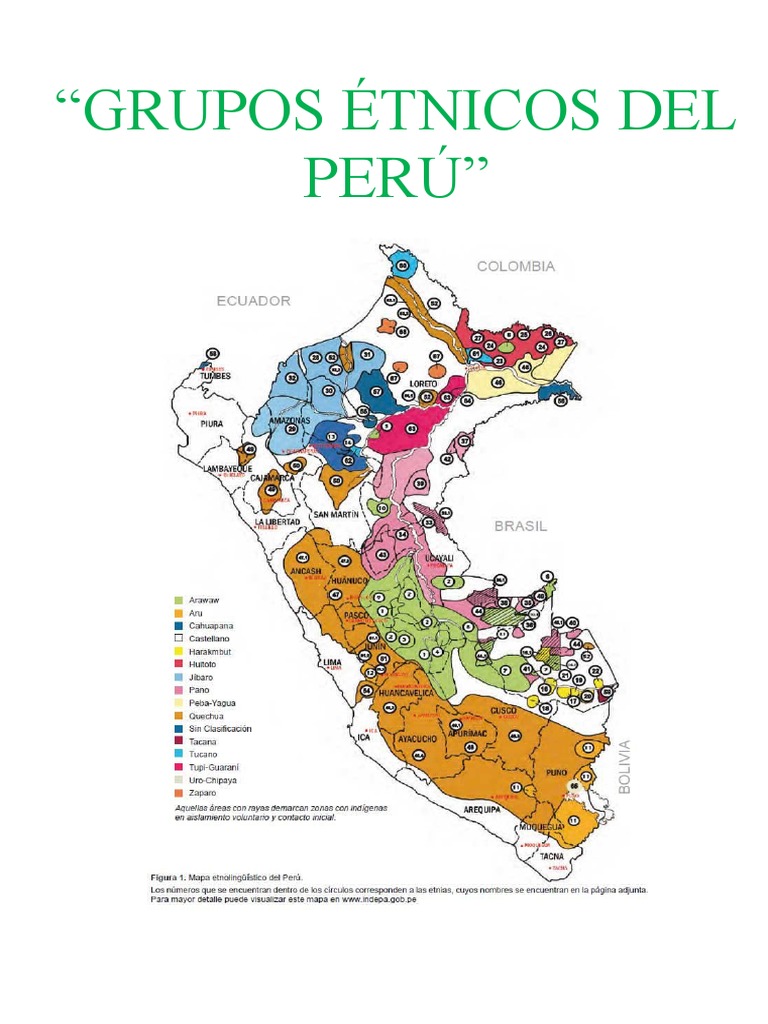 Grupos Étnicos EDITA | PDF | Perú | río Amazonas Grupos Étnicos EDITA | PDF | Perú | río Amazonas