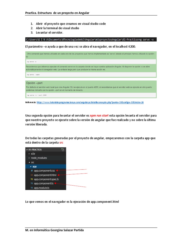 Guía Básica de Proyecto Angular | PDF | Archivo de computadora | Ingeniería Informática