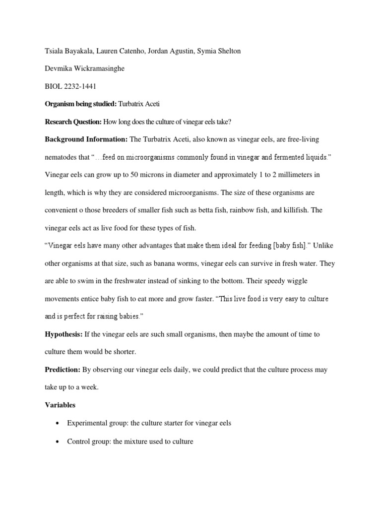 Lab 2 Group Assignment | PDF | Vinegar Lab 2 Group Assignment | PDF | Vinegar