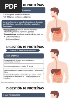 FRUTENZIMA: Usos y Beneficios Clínicos | PDF | Páncreas | Órgano (anatomía)