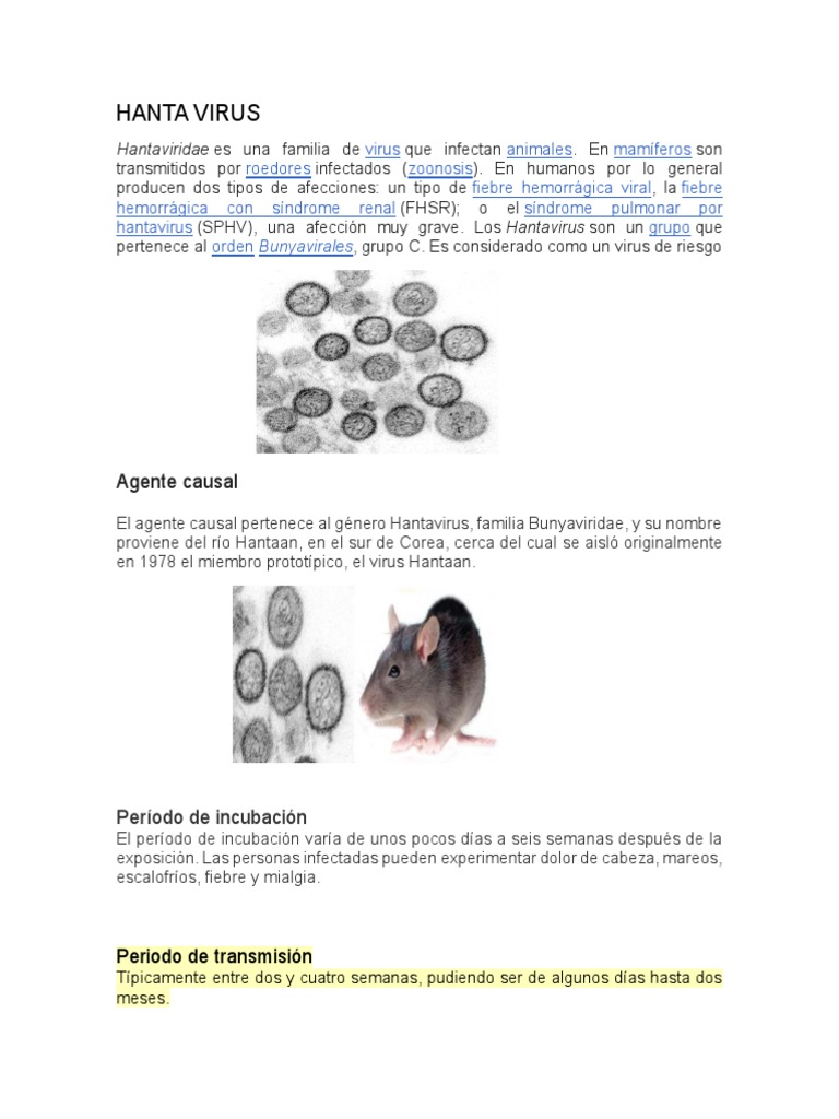 Hantavirus | PDF | Causas de la muerte | Enfermedades animales