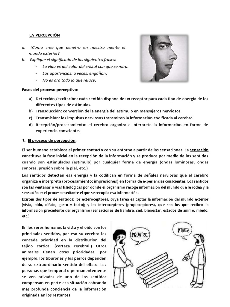 La Percepción | PDF | Percepción | Mente