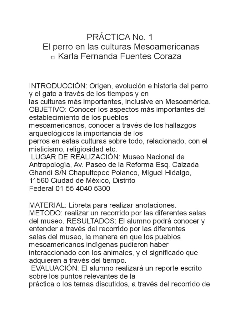 Practica P Y G | PDF | Mesoamérica