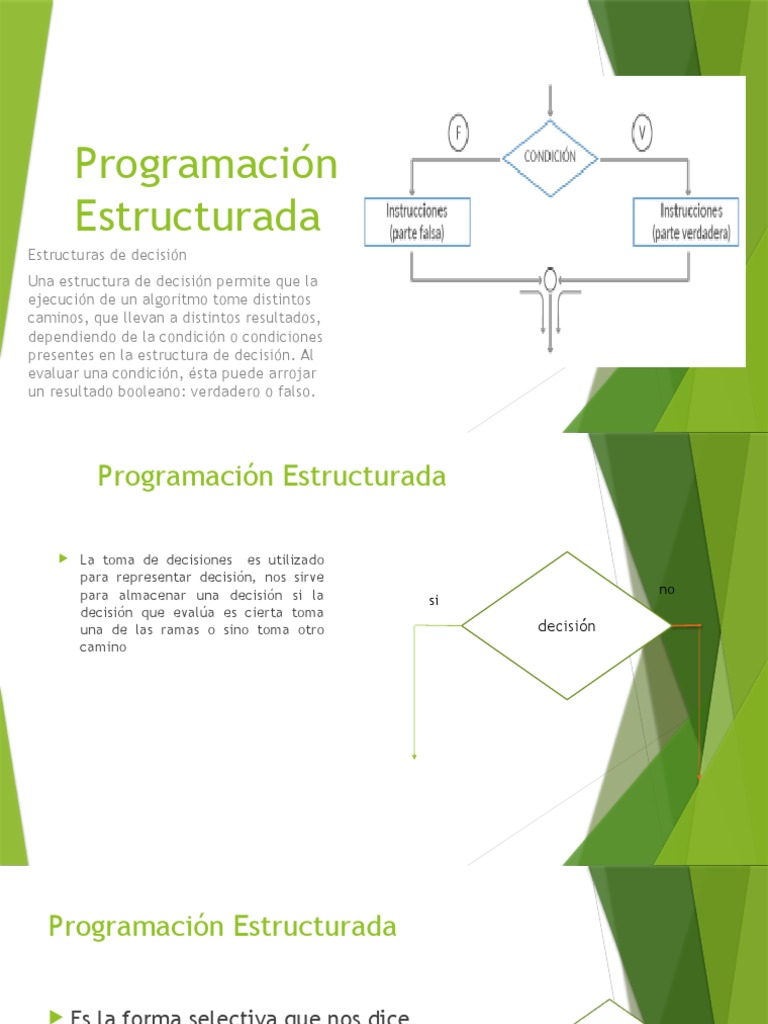 Programación Estructurada | PDF