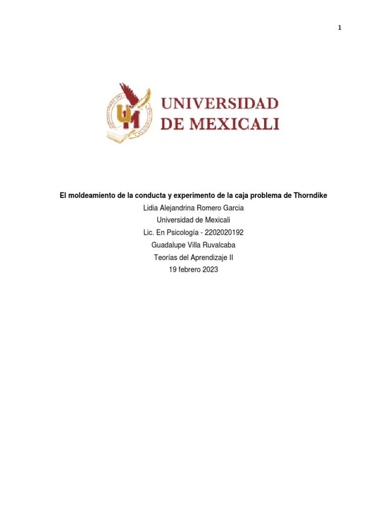El Moldeamiento de La Conducta y Experimento de La Caja Problema de ...
