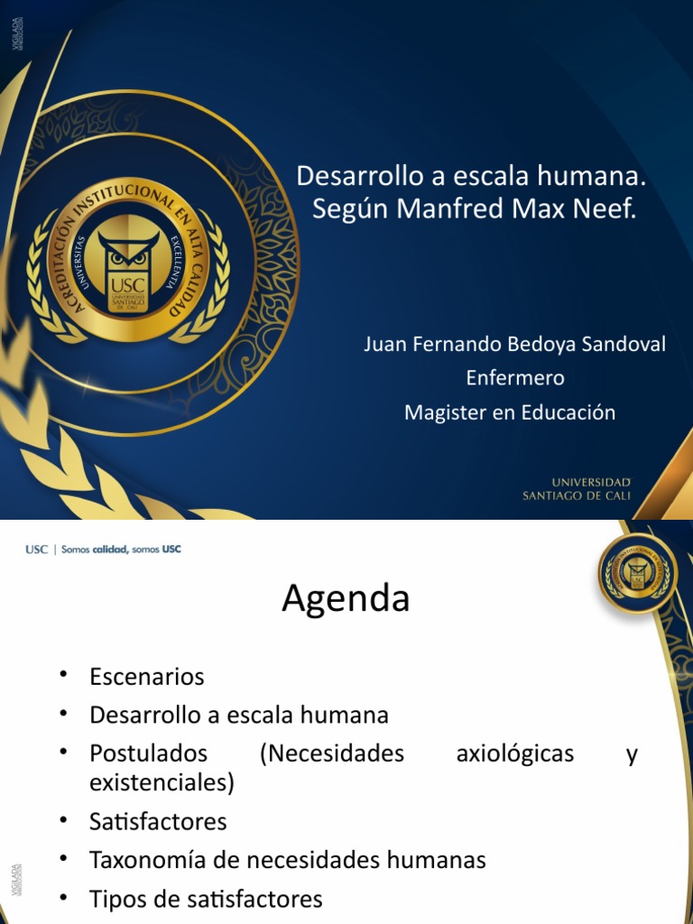 Necesidades Max Neef 2022 B | PDF | Axiología | Pobreza