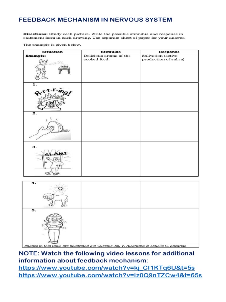 Feedback Mechanism in Nervous System | PDF | Homeostasis | Human Body