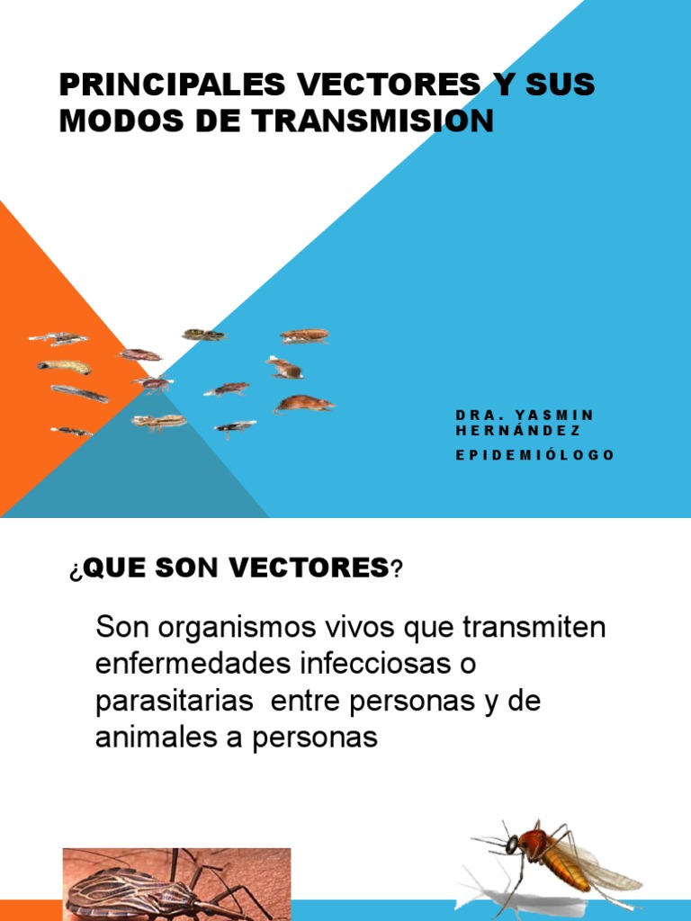 Principales Vectores y Sus Modos de Transmision | PDF | Malaria ...