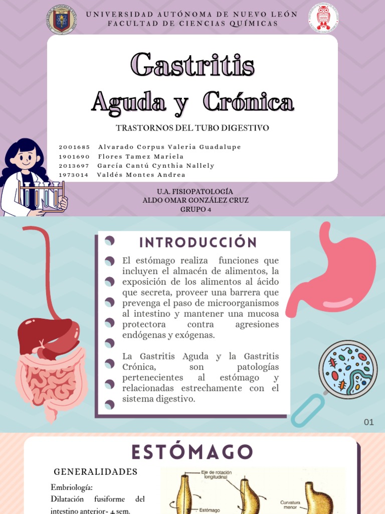 Gastritis: Tipos y Tratamientos | PDF | Estómago | Digestión