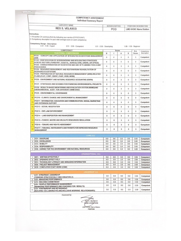 Competency Assessment and Individual Development Plan | PDF