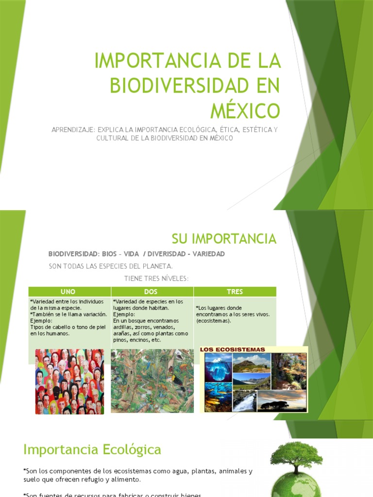 Importancia Ecologica | PDF | Biodiversidad | Ecología