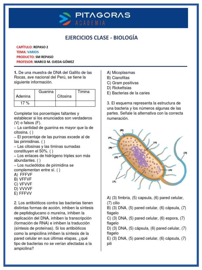 Biologia Repaso 2 | PDF | Cloroplasto | Adn