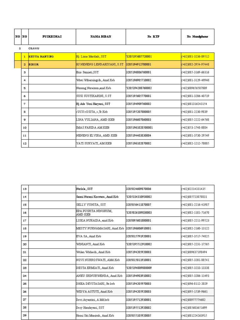 Master Data Bidan Ranting V | PDF