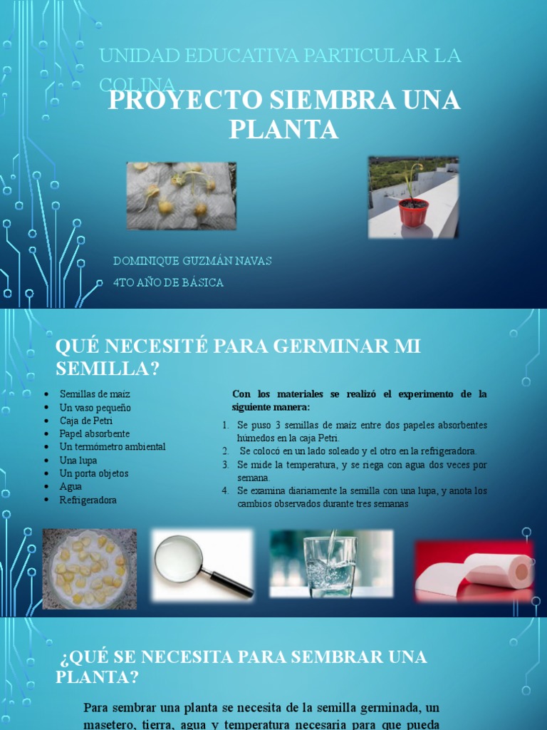 Proyecto de Germinación de Semillas | PDF | Hogar, jardinería y ...