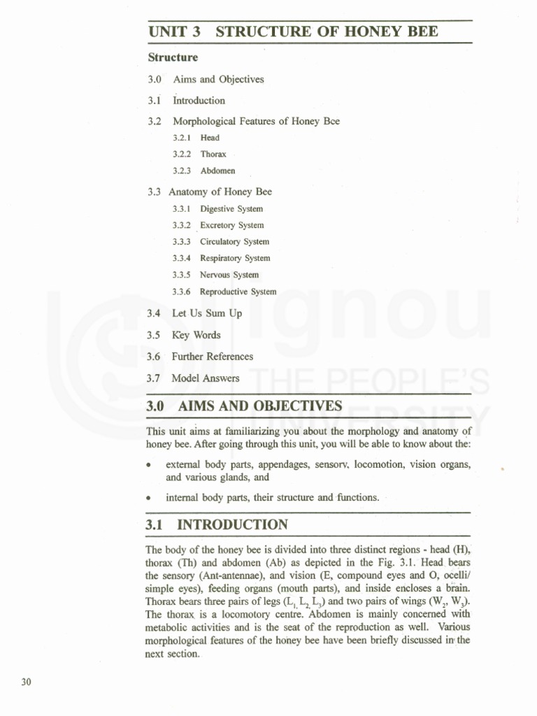 Unit 3 Pdf Pdf Honey Bee Stomach