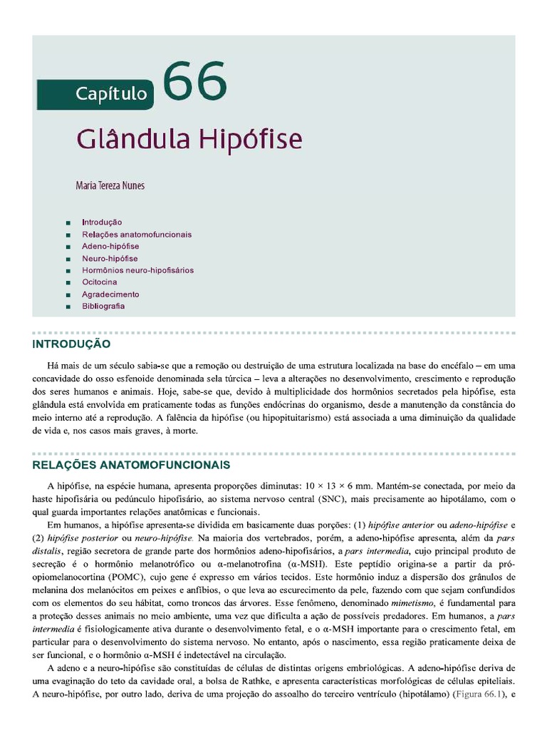 Cap.66 - Glândula Hipófise - AIRES, M PDF | PDF